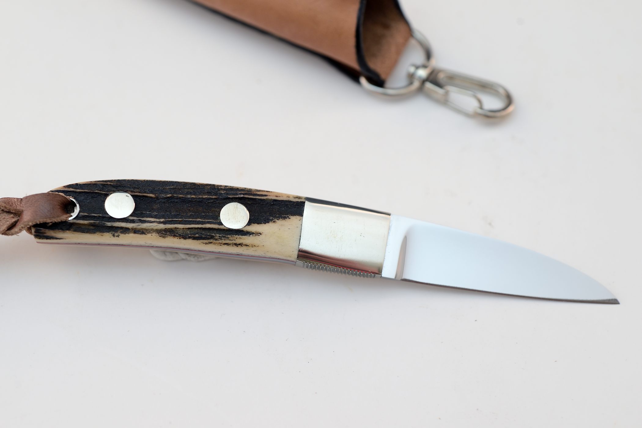 City knife, stag (series: SOL) | Fujie-Knives